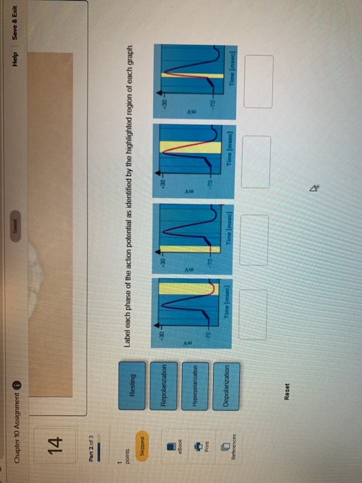 Solved Chapter 10 Assignment Help Seve & Exh Subek Sedonal | Chegg.com