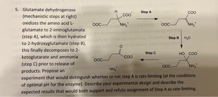 Solved 5. Glutamate dehydrogenase (mechanistic steps at | Chegg.com