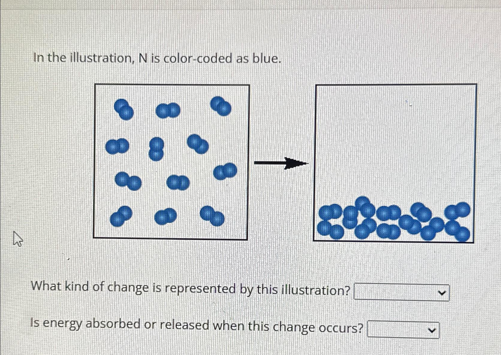 Solved In the illustration, N ﻿is color-coded as blue.What | Chegg.com