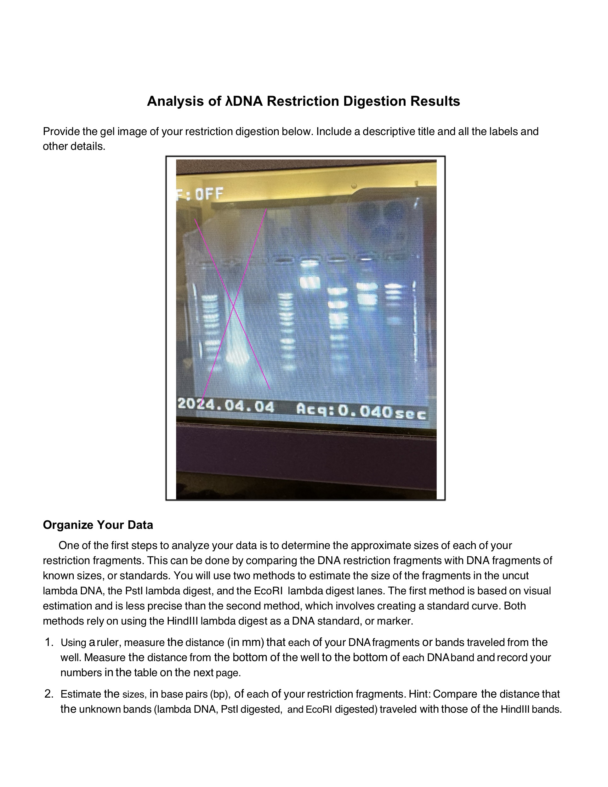 Solved Organize Your DataOne of the first steps to analyze | Chegg.com