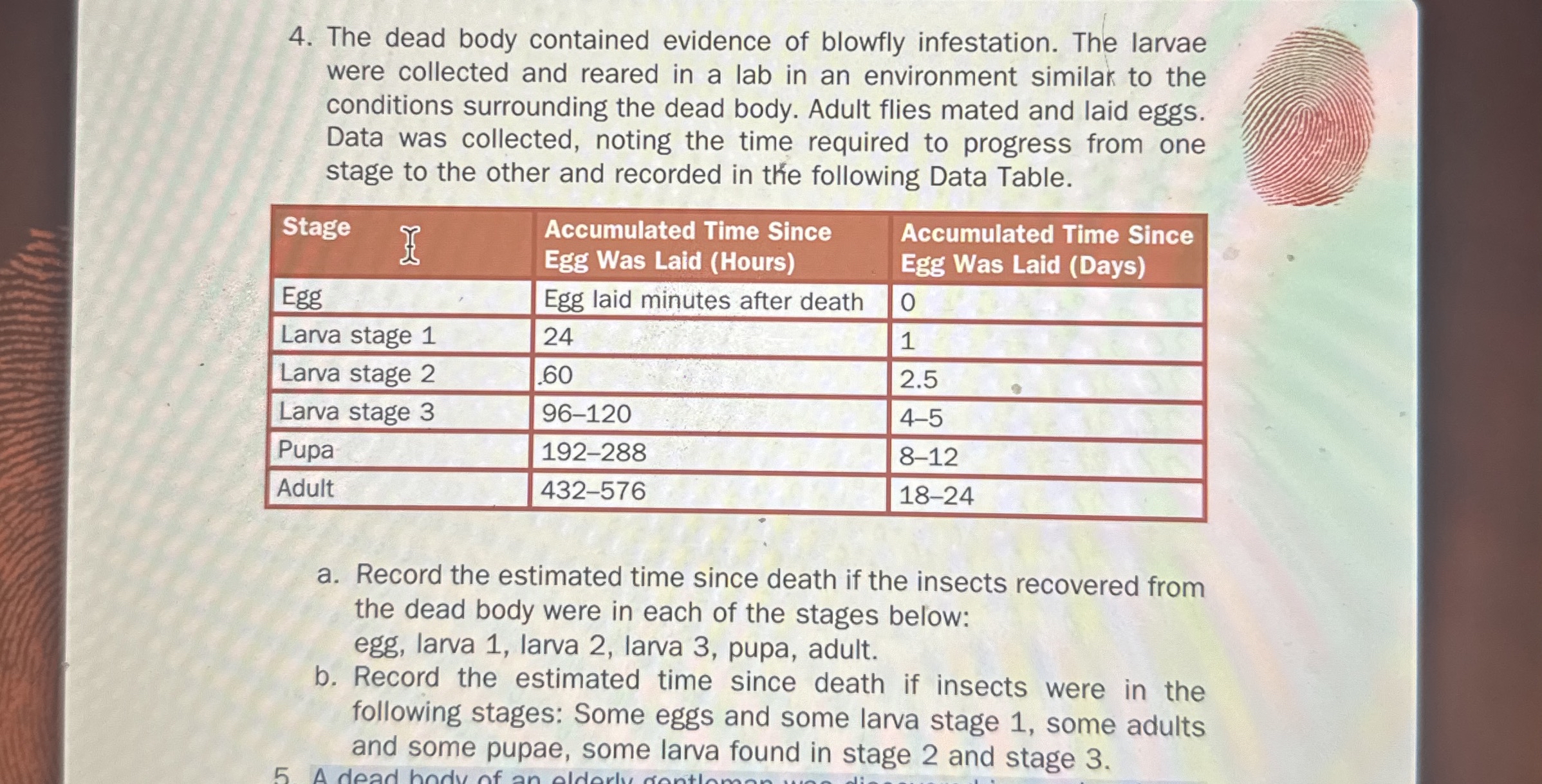 Solved The dead body contained evidence of blowfly | Chegg.com