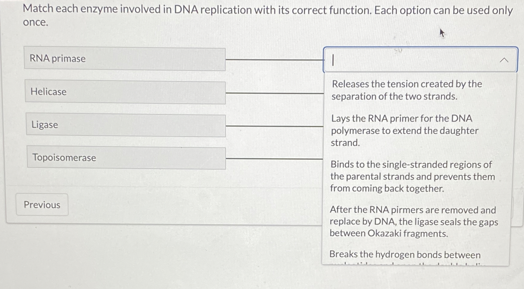 Solved Match each enzyme involved in DNA replication with | Chegg.com