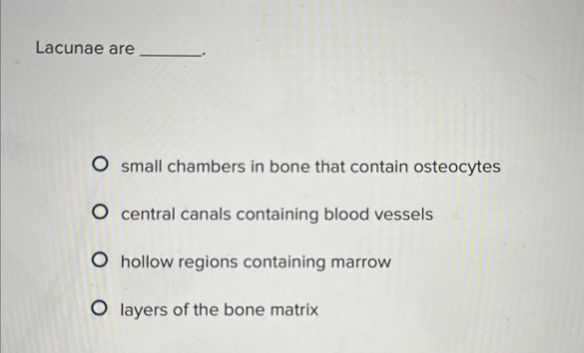 Solved Lacunae aresmall chambers in bone that contain | Chegg.com