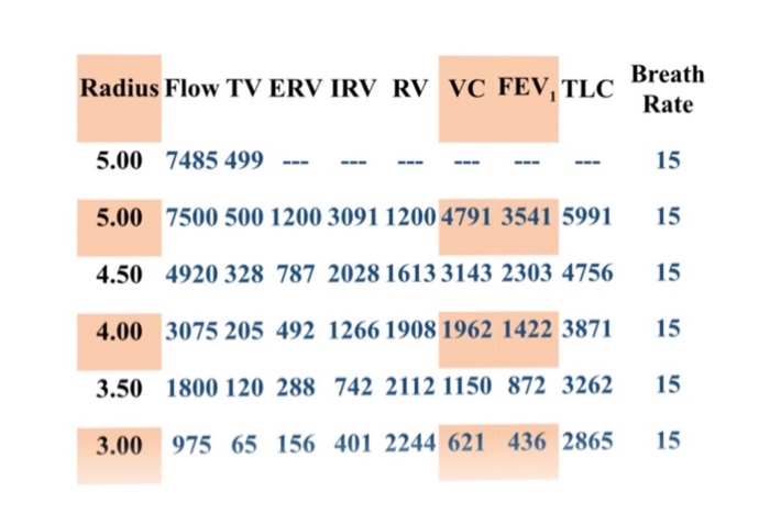 Solved Radius Flow TV ERV IRV RV VC FEV, TLC Breath Rate 15 | Chegg.com
