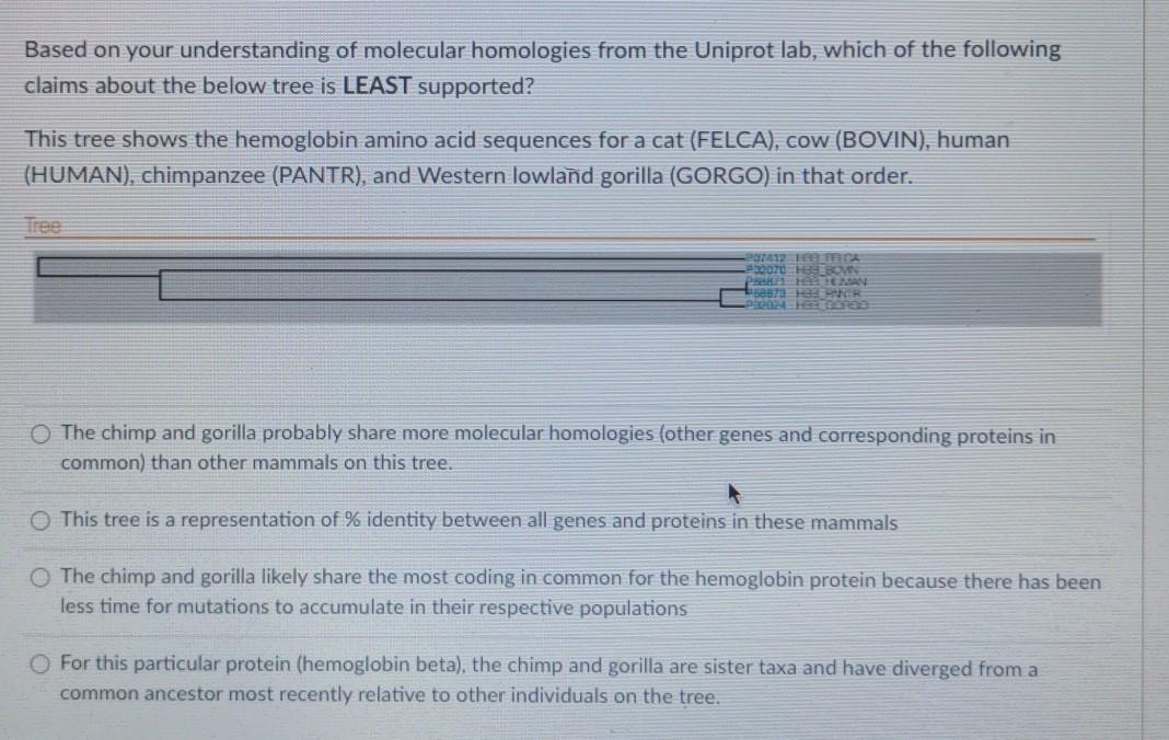 Solved Based on your understanding of molecular homologies | Chegg.com