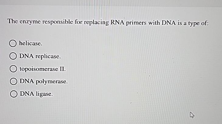 Solved The enzyme responsible for replacing RNA primers with | Chegg.com