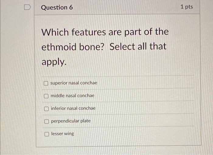 Solved Which features are part of the ethmoid bone? Select | Chegg.com