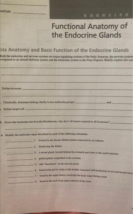 Solved Functional Anatomy of the Endocrine Glands pss | Chegg.com