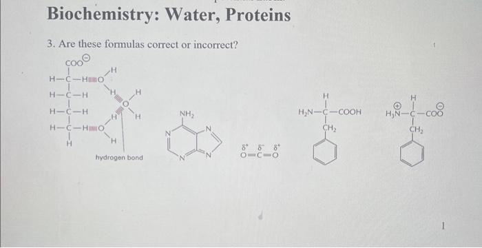 Solved Biochemistry: Water, Proteins 3. Are these formulas | Chegg.com