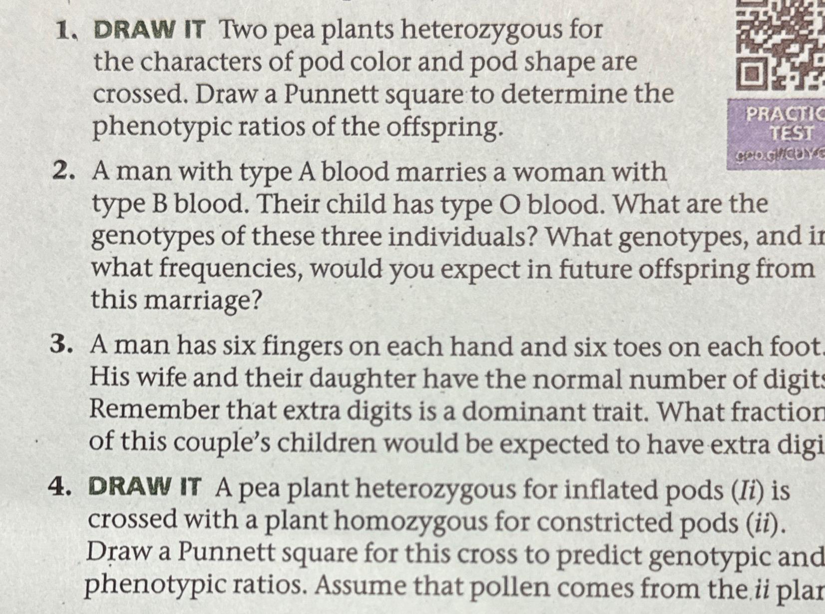 Solved DRAW IT Two pea plants heterozygous for the | Chegg.com Solved DRAW IT Two pea plants heterozygous for the | Chegg.com