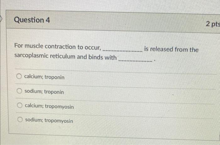 Solved Question 4 For muscle contraction to occur, | Chegg.com