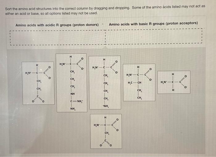 Solved Sort the amino acid structures into the correct | Chegg.com