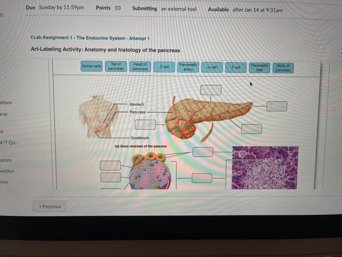 Solved Due Sunday by 11:59pm Points 10 Submitting an | Chegg.com