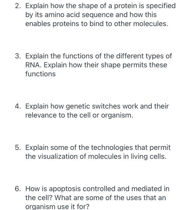 Solved 2. Explain how the shape of a protein is specified by | Chegg.com
