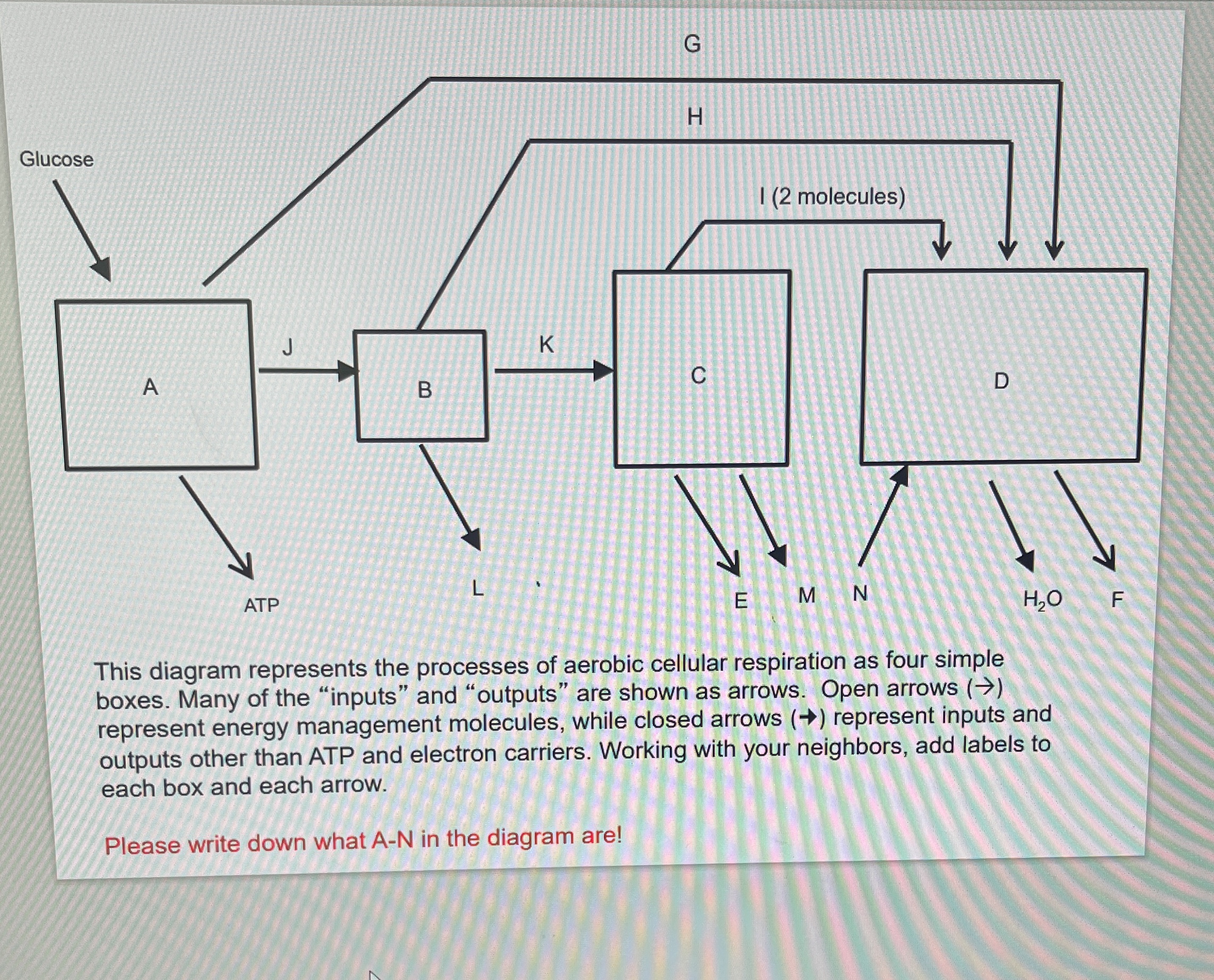 Solved This diagram represents the processes of aerobic | Chegg.com