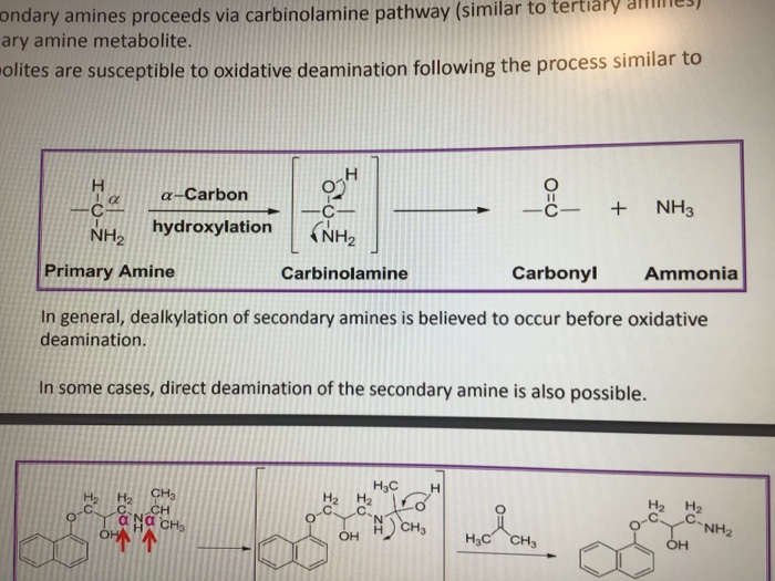 Solved can you please show detailed reaction mechanism for | Chegg.com