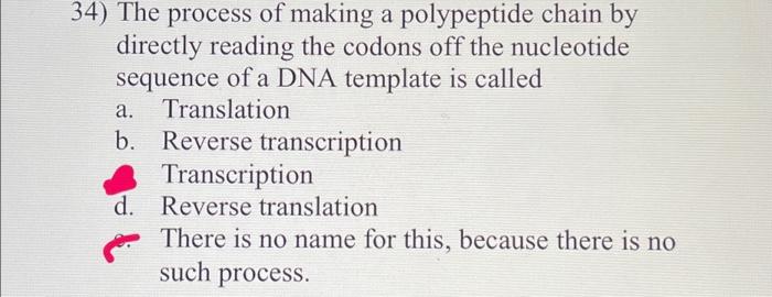 Solved 34) The process of making a polypeptide chain by | Chegg.com