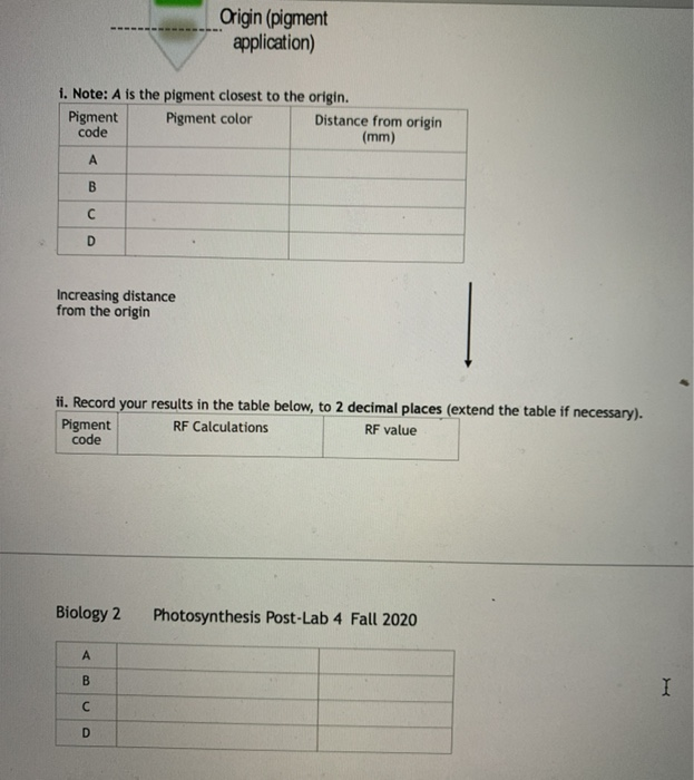 Solved Exercise 3B. Separation of plant pigments by paper | Chegg.com