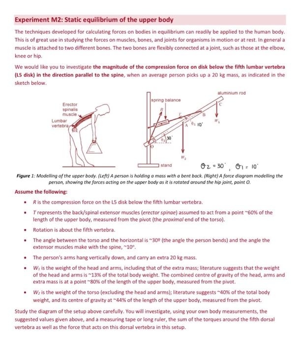 Solved Experiment M2: Static equilibrium of the upper body | Chegg.com