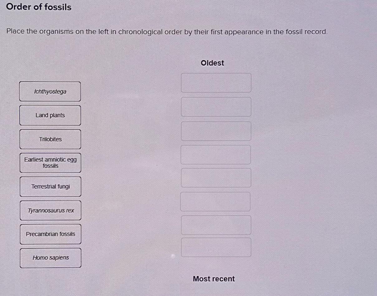 Solved Order of fossilsPlace the organisms on the left in | Chegg.com