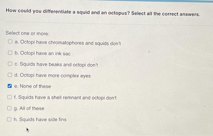 Solved How could you differentiate a squid and an octopus? | Chegg.com