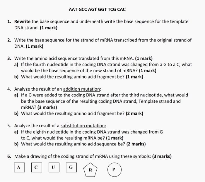 Solved 1. Rewrite the base sequence and underneath write the | Chegg.com