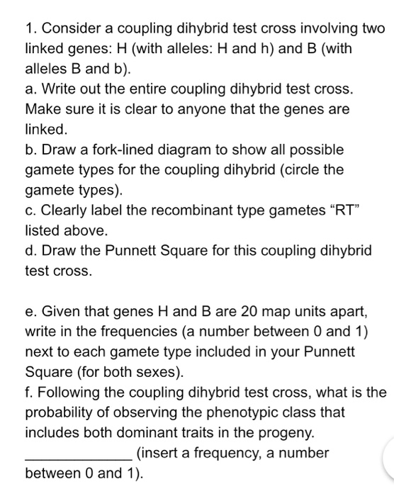 Solved HINT: This is a question about a test cross. Before | Chegg.com