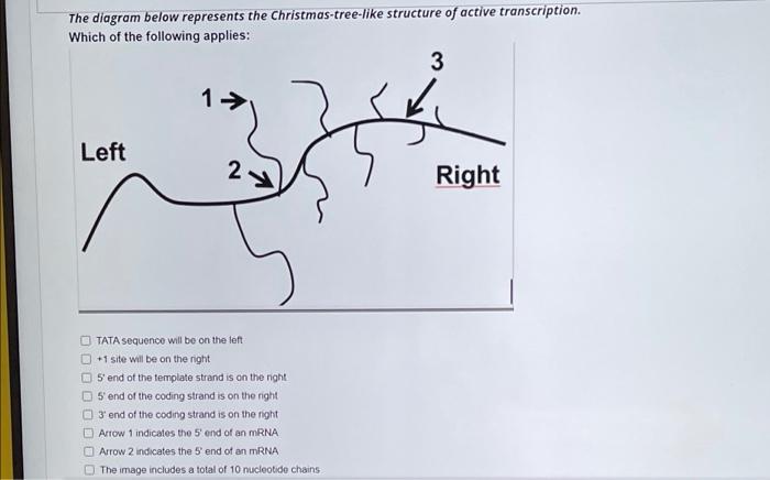 Solved The diagram below represents the Christmas-tree-like | Chegg.com