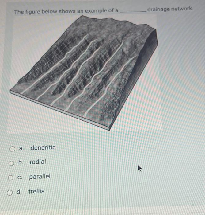 Solved a. dendritic b. radial c. parallel d. trellis | Chegg.com