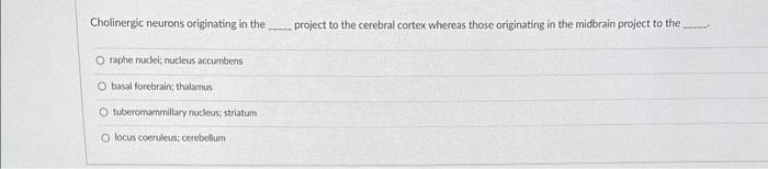 Solved Cholinergic neurons originating in the project to the | Chegg.com