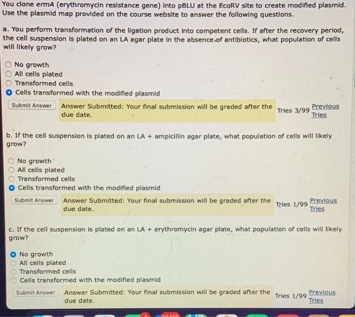 Solved You clone ermA (erythromycin resistance gene) Into | Chegg.com