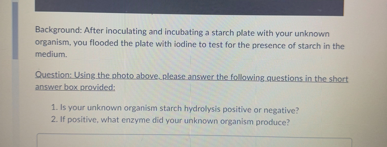 Solved Background: After inoculating and incubating a starch | Chegg.com