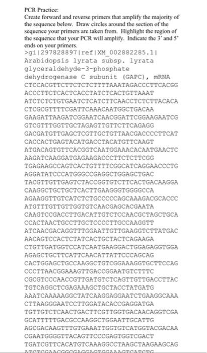 Solved PCR Practice: Create forward and reverse primers that | Chegg.com