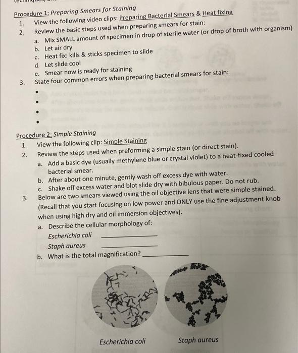 Solved Procedure 1: Preparing Smears for Staining 1. View | Chegg.com