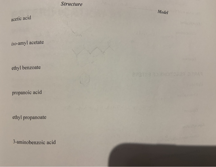 Solved Structure Model acetic acid iso-amyl acetate ethyl | Chegg.com