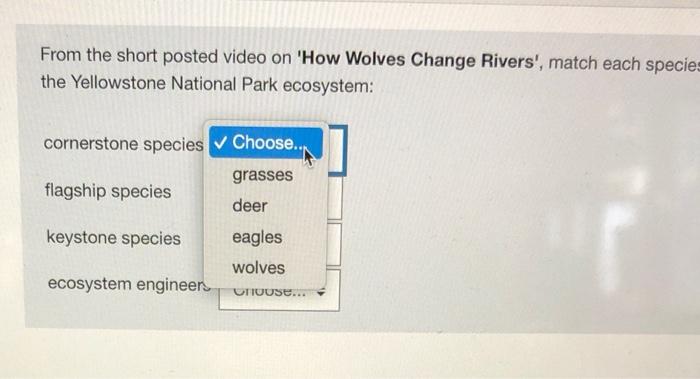 Solved From the short posted video on 'How Wolves Change | Chegg.com