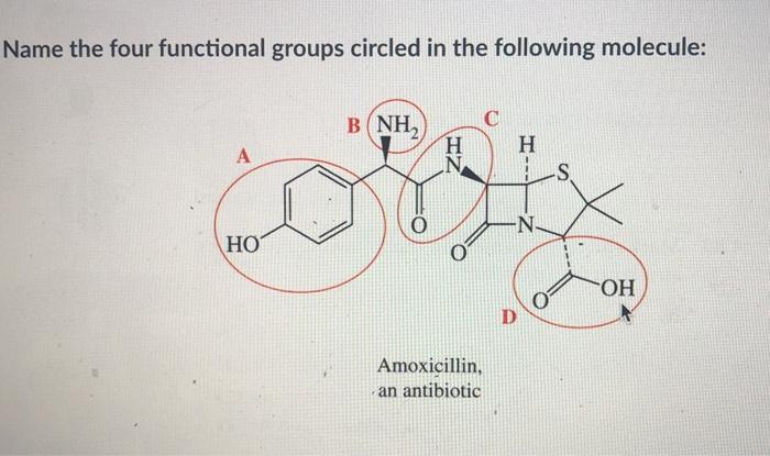 Solved Name the four functional groups circled in the | Chegg.com
