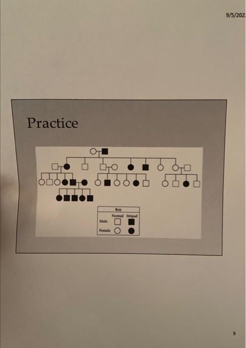 Practice | Chegg.com