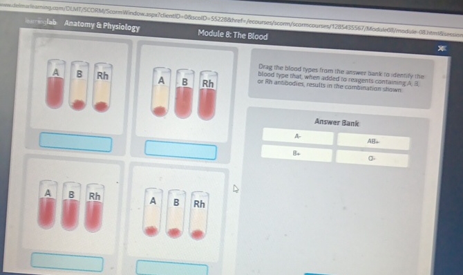 Solved learinglabAnatomy a PhysiologyModule 8: The | Chegg.com
