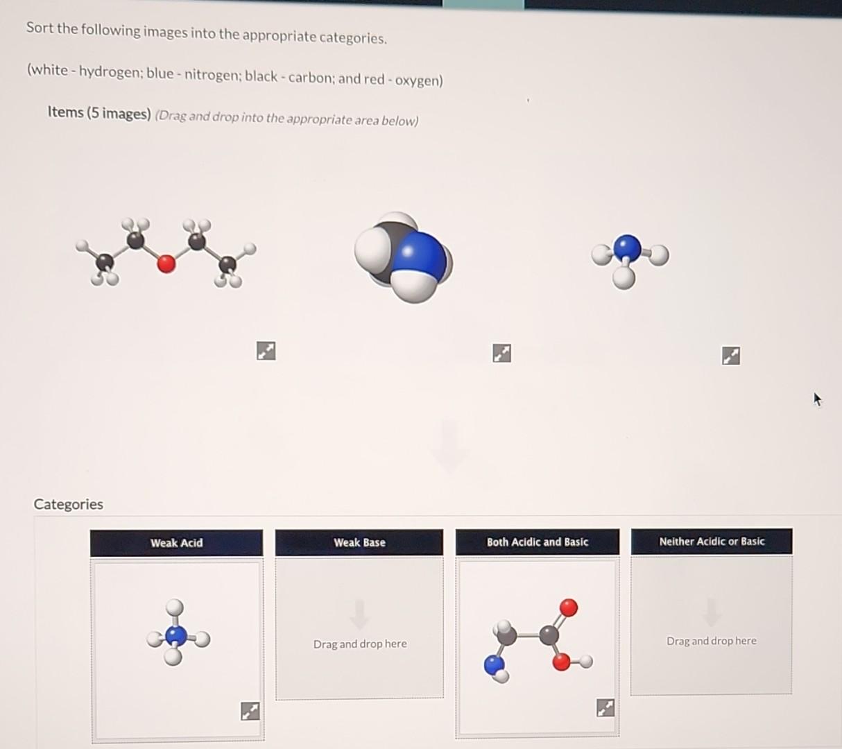 Solved Sort the following images into the appropriate | Chegg.com