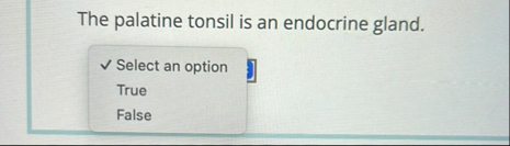 Solved The palatine tonsil is an endocrine gland. ﻿Select | Chegg.com