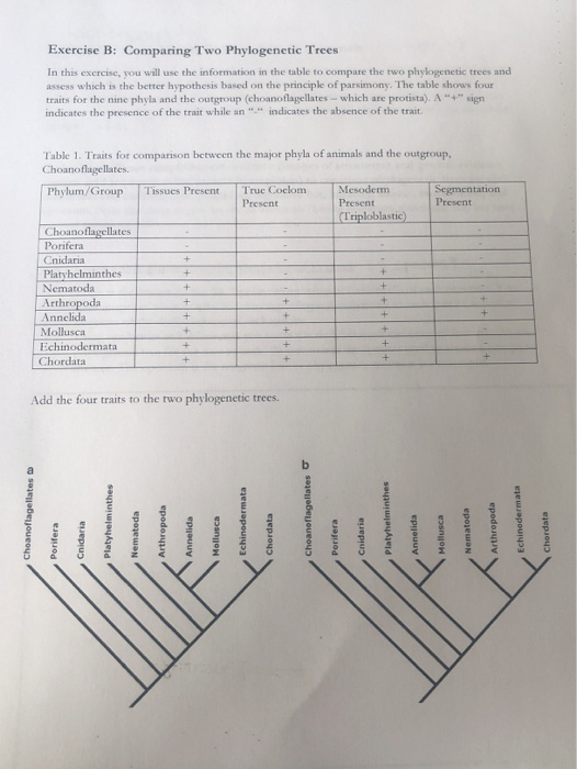 Solved Exercise B: Comparing Two Phylogenetic Trees In this | Chegg.com