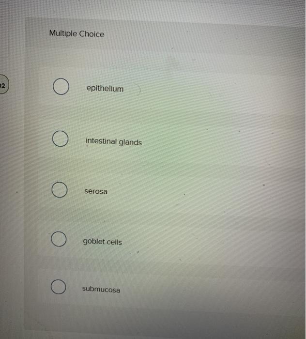 Solved Which structure is highlighted? Multiple Choice 2 O | Chegg.com