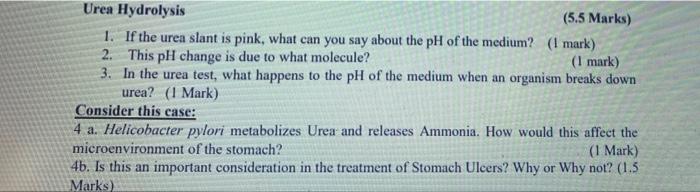 Solved Urea Hydrolysis (5.5 Marks) 1. If the urea slant is | Chegg.com