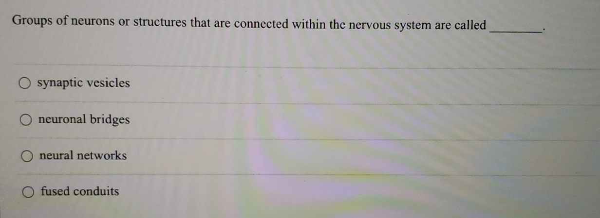 Solved Groups of neurons or structures that are connected | Chegg.com