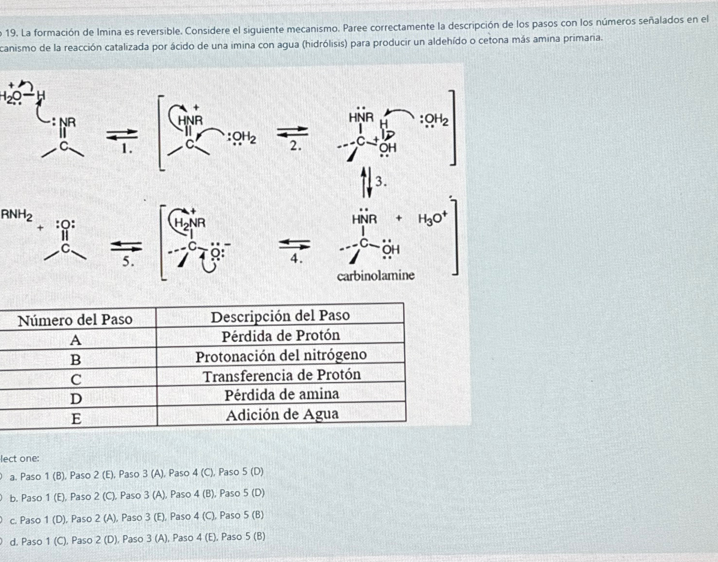 Solved La formación de Imina es reversible. Considere el | Chegg.com