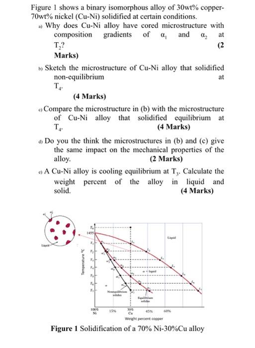 Solved Figure 1 shows a binary isomorphous alloy of 30wt% | Chegg.com