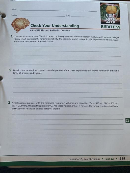 Solved Name Section Date UNIT 23 REVIEW Check Your | Chegg.com