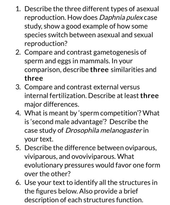 Solved 1. Describe the three different types of asexual | Chegg.com