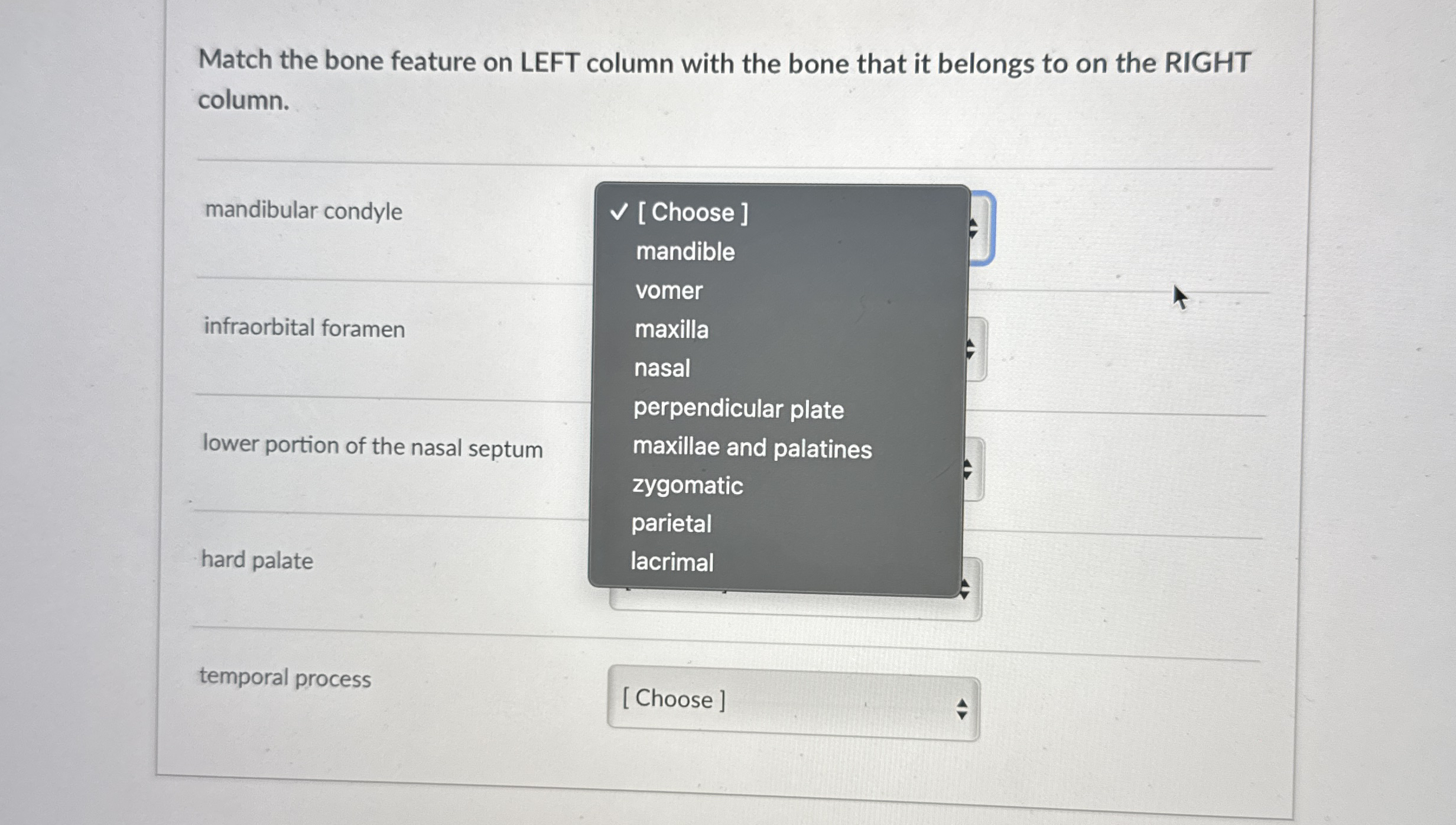 Solved Match the bone feature on LEFT column with the bone | Chegg.com